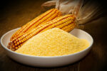 Does Cornmeal Go Bad? Here's Everything You Need To Know. - Tastylicious