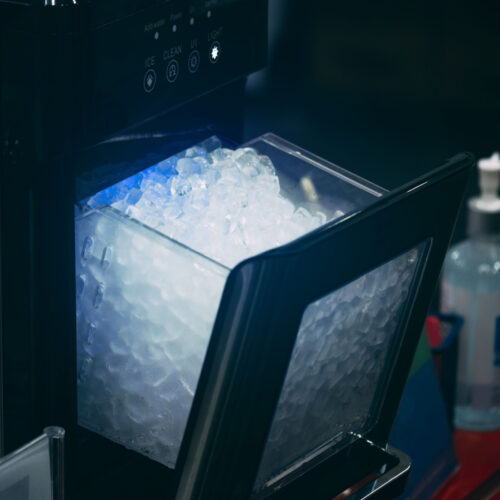 6 Best Nugget Ice Makers in 2026 - Tastylicious