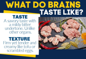 What Do Brains Taste Like? Ultimate Guide
