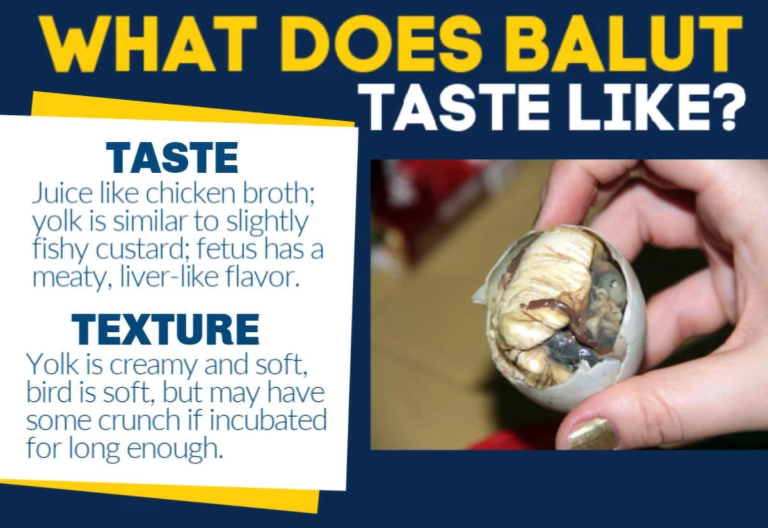 What Does Balut Taste Like?