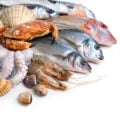 Is Seafood Halal? Everything Explained. - Tastylicious