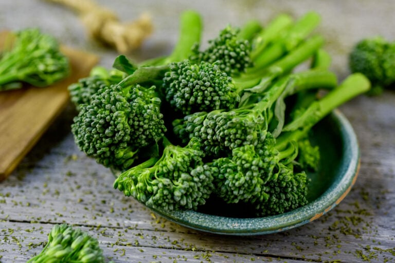 13 Healthy Broccoli Substitutes For Your Recipes - Tastylicious