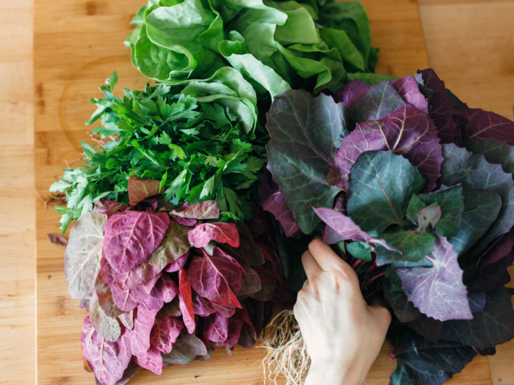 13 Healthy Broccoli Substitutes For Your Recipes - Tastylicious