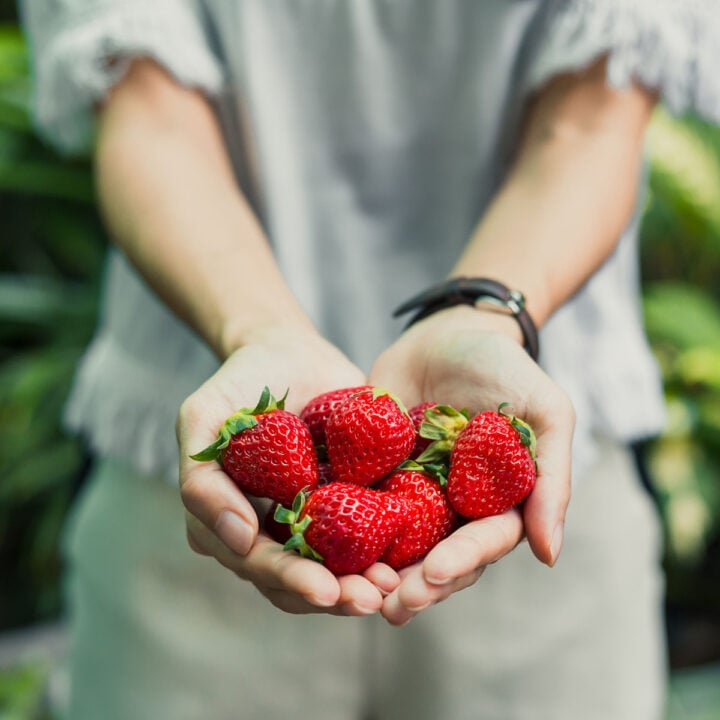 15 Best Iron-Rich Fruit Juices - Tastylicious