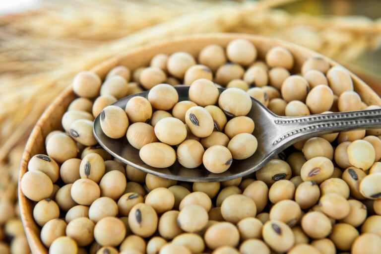 Top 15 Most Alkaline Foods You Should Include in Your Diet - Tastylicious