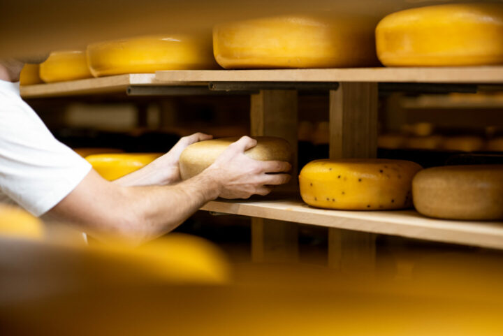 Is Cheese Processed Food? - Tastylicious