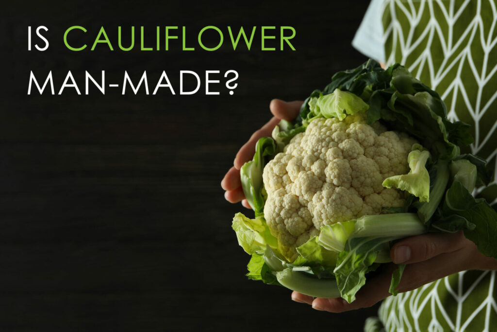 Is Cauliflower Man-Made? - Tastylicious