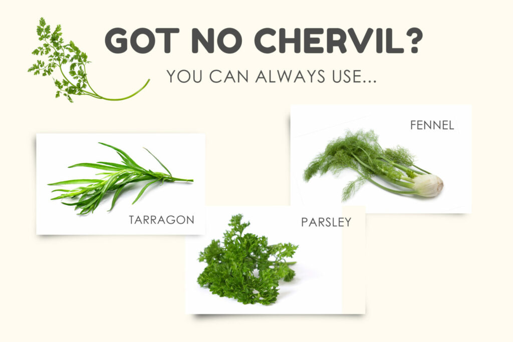 Substitute For Chervil – 6 Best Options