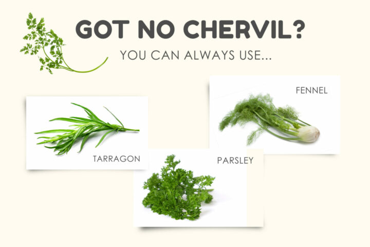 Substitute For Chervil – 6 Best Options