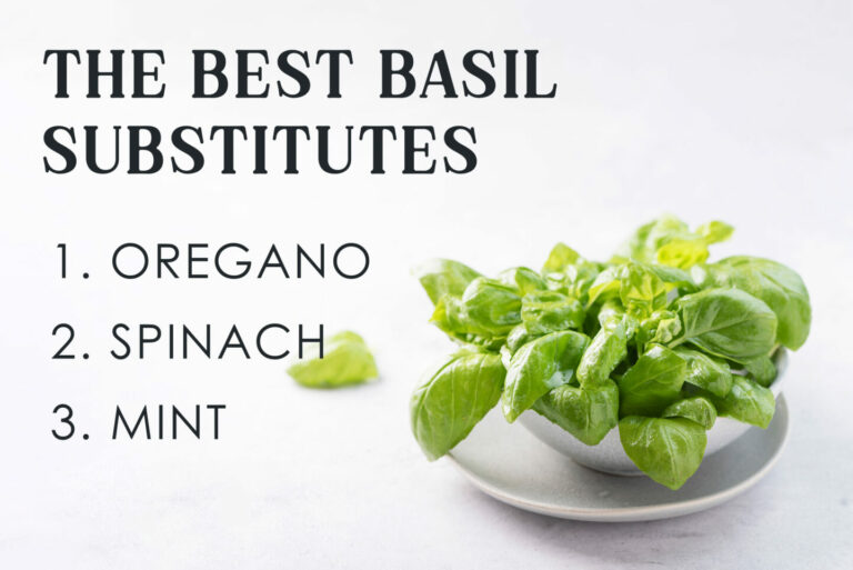 Basil substitute – The 8 Best Options