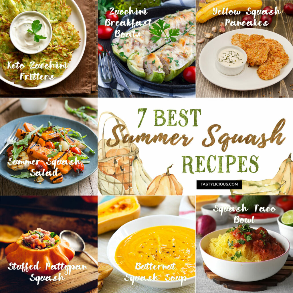7 Best Summer Squash Recipes for Breakfast, Lunch and Dinner - Tastylicious